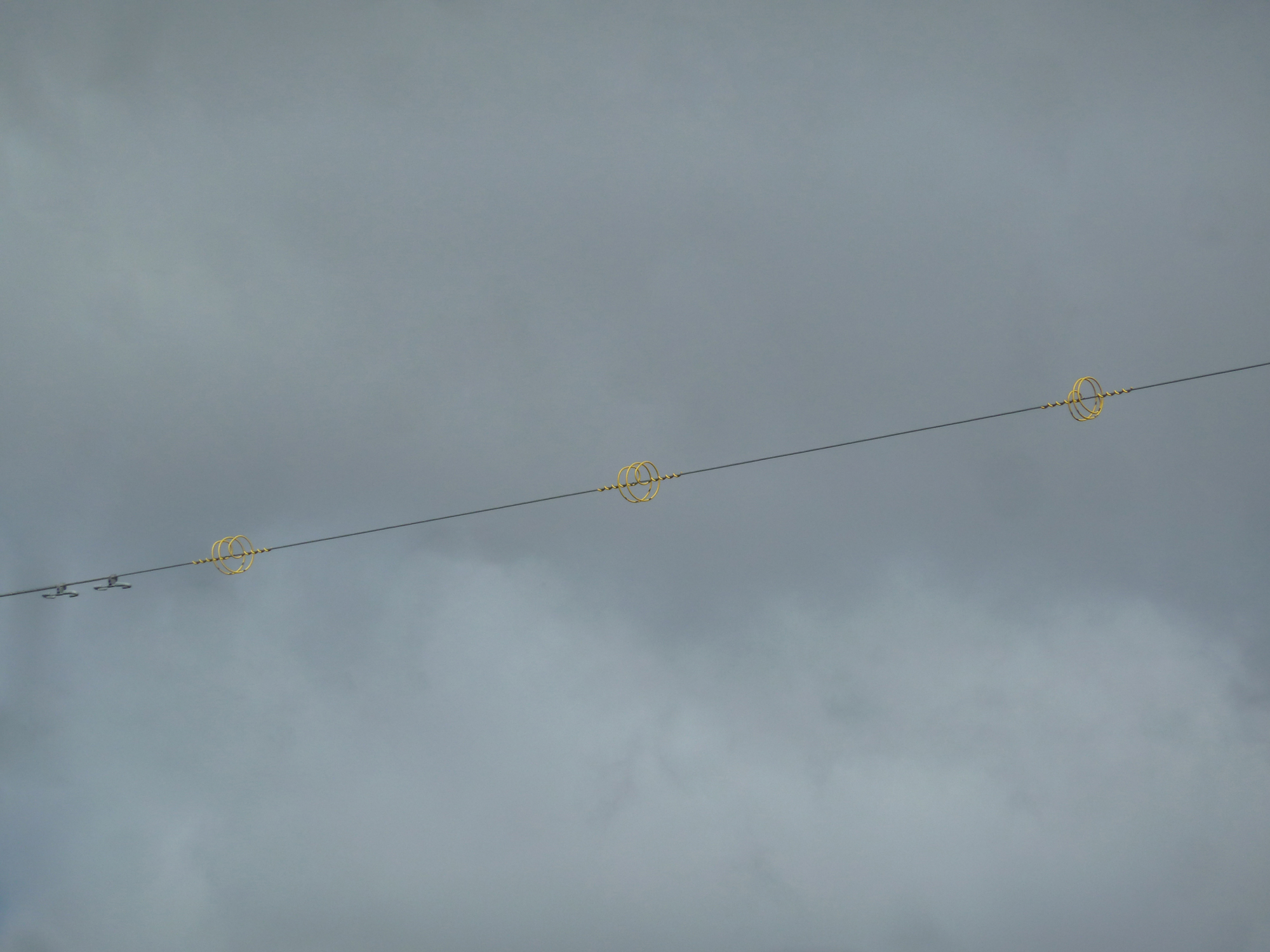 Red Eléctrica installs bird-flight diverters on a 220 kV line in the ...